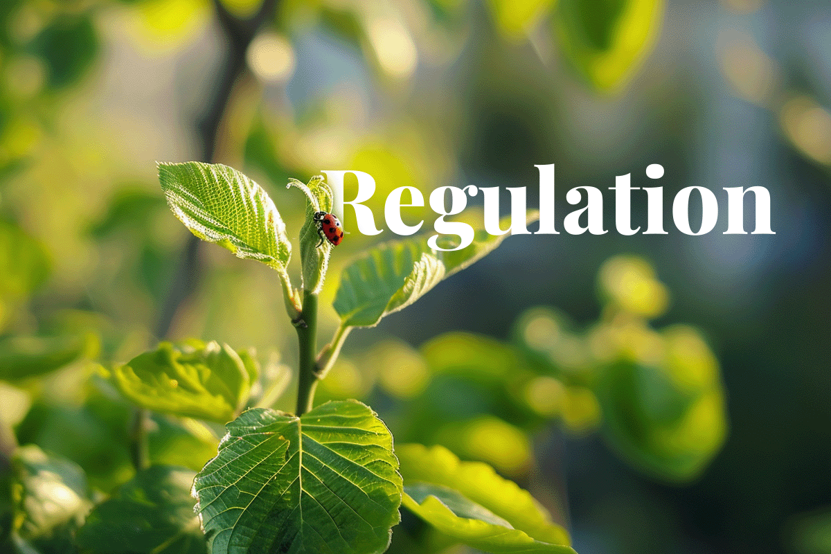EU adopts game-changing European Green Bonds regulation EU adopts game-changing European Green Bonds regulation
